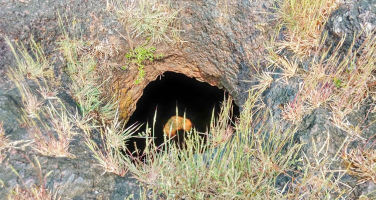 Shiva Cave Gokarna (Timings, Entry Fee, History, Location, Images ...